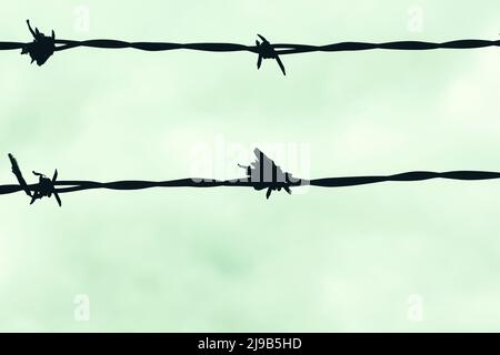 Barbed wire fence protecting something important in black and white ...