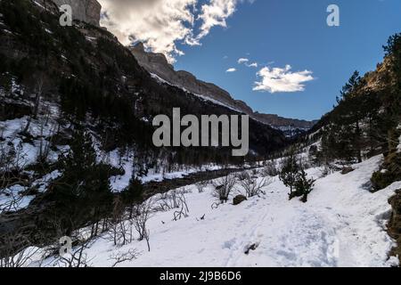 wild river in snowy ordesa national park in winter Stock Photo - Alamy