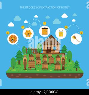 Process of honey extraction concept with several steps on blue ...