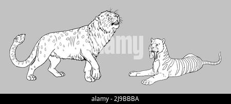 Prehistoric predator cave lion. Drawing with extinct feline predator ...