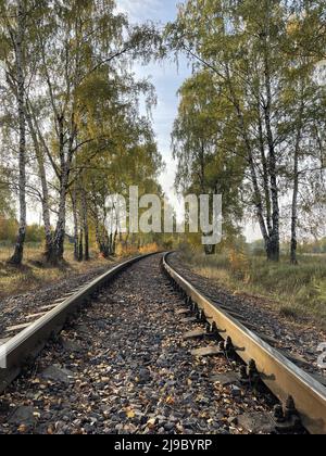 Rail road in the middle of the forest beside a river Stock Photo - Alamy