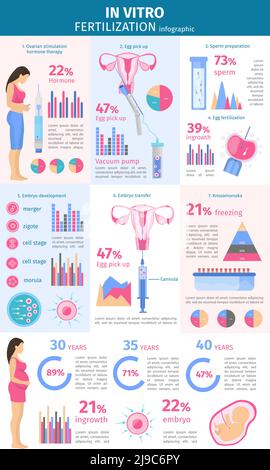 Reproductive technology vector infographic template. Embryology ...