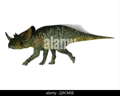 Illustration of a brachyceratops Stock Photo - Alamy