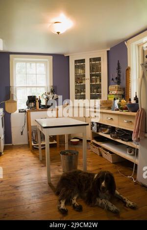 Purple painted country style kitchen and furnishings inside old circa ...