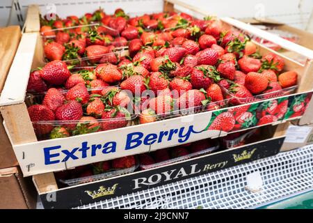 Samara, Russia - May 14, 2022: Pringles crisp snacks, variety of ...