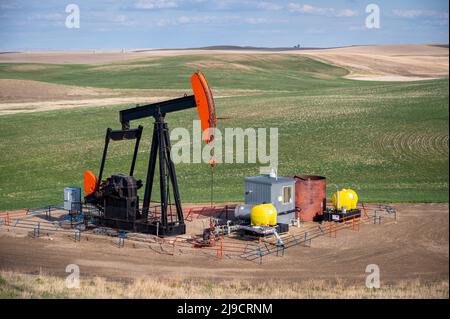 Pumpjacks working in the oil fields of Alberta on a spring day Stock ...