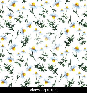 Watercolor seamless pattern with different chamomile flowers and leaves ...
