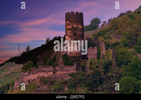 Furstenberg Castle on the Middle Rhine River in Germany Stock Photo - Alamy