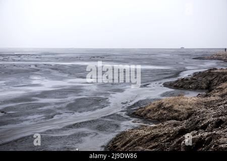 The beautiful and curious tidal mud flat Stock Photo - Alamy