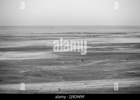 The beautiful and curious tidal mud flat Stock Photo - Alamy