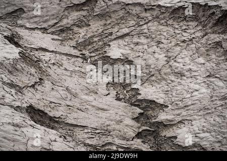 The beautiful and curious tidal mud flat Stock Photo - Alamy