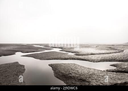 The beautiful and curious tidal mud flat Stock Photo - Alamy
