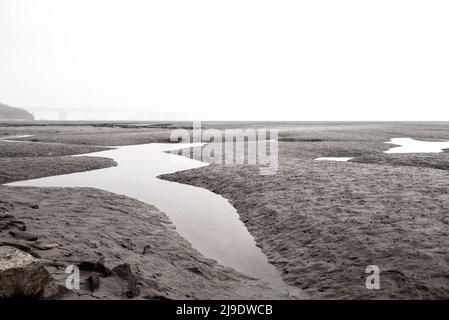 The beautiful and curious tidal mud flat Stock Photo - Alamy