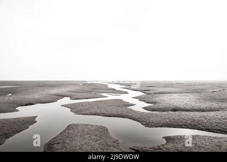 The beautiful and curious tidal mud flat Stock Photo - Alamy