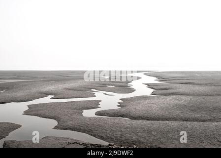 The beautiful and curious tidal mud flat Stock Photo - Alamy
