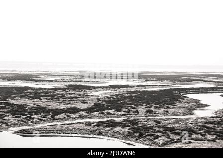 The beautiful and curious tidal mud flat Stock Photo - Alamy