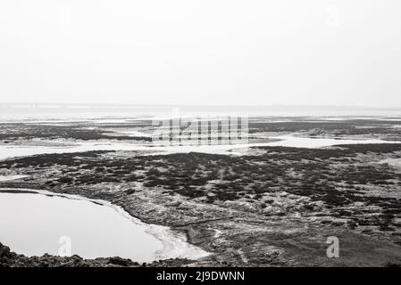 The beautiful and curious tidal mud flat Stock Photo - Alamy