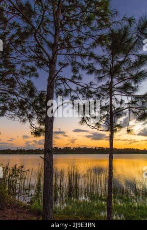 Colorful Sunset over Lake Zobel, George LeStrange Preserve, Fort Pierce ...
