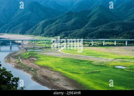Beautiful rural scenic landscape,Avena Sativa,Oat green field of the ...