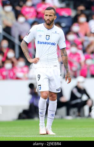Leandro Pereira (Gamba), MAY 21, 2022 - Football / Soccer : 2022 J1 ...