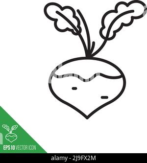 Turnip icon cartoon vector. Vegetable food. Green diet Stock Vector ...