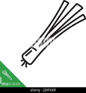 Leek icon. Outline illustration of leek vector icon for web Stock ...