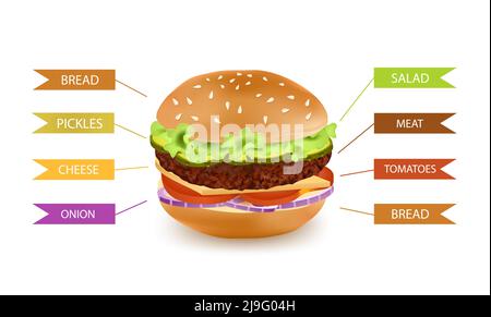 Image of hamburger with editable captions describing burger ingredients ...