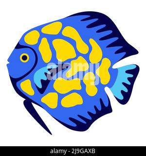 Vector of discus fish Stock Vector Image & Art - Alamy