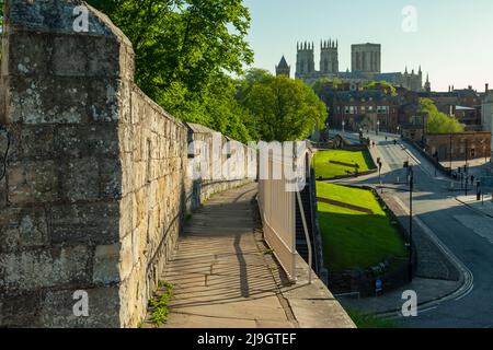 Spring morning on the city walls in York, England. York Minster in the ...