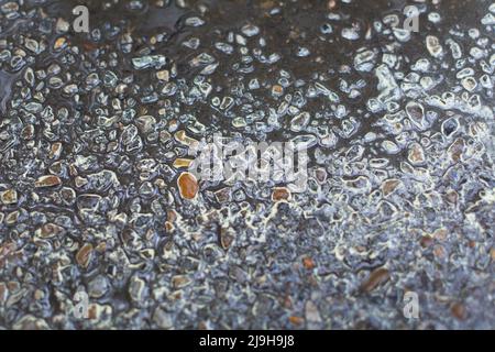 Pollen sediment in a puddle after rain macro photography Stock Photo ...