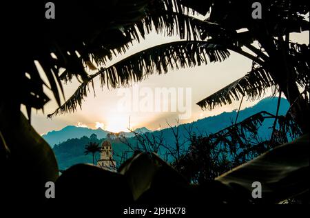 Sunrise with silhouette of banana palms in the town Salento Quindio ...