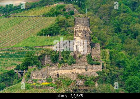 Furstenberg Castle on the Middle Rhine River in Germany Stock Photo - Alamy