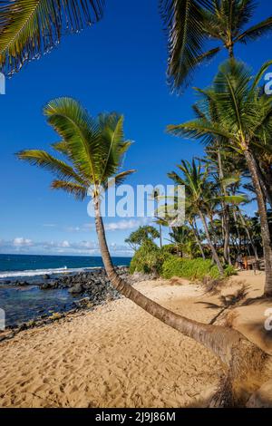 Mama's Fish House, Kuau Cove, Maui, Hawaii Stock Photo - Alamy