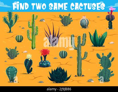 Mexican cactuses, find two same cartoon prickly succulent plants game ...