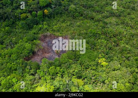 Deforestation of the Amazon rainforest. Patch of forest burnt to the ...