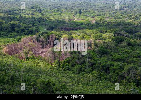 Deforestation of the Amazon rainforest. Patch of forest burnt to the ...