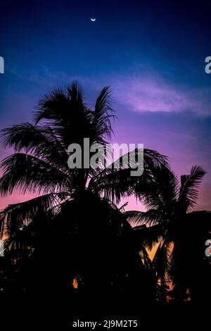 Amazing Night View Sky. Colourful Night Starry Sky In Violet Colors ...
