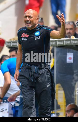 SSC Napoli's Italian coach Luciano Spalletti during press conference ...