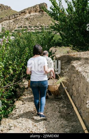 back view of man with wicker basket and acoustic guitar walking with ...