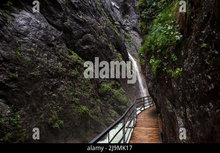 Aare Gorge, blue alpine river between narrow rocky cliffs covered with ...