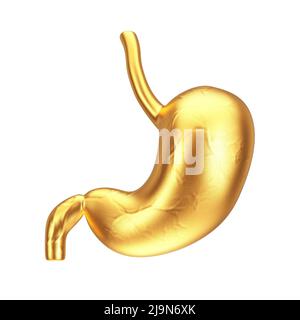 3d illustration of golden human intestine. Large and small intestine ...