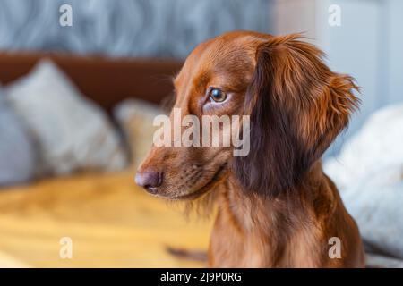 Profile portrait of pretty small long-haired blond girl in white ...