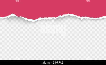 Piece of torn horizontal paper strip is on squared background. Vector ...