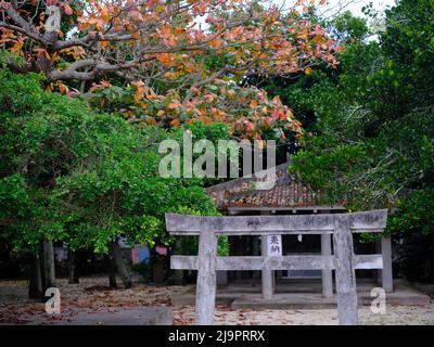 Utaki, Religious Facilities in Okinawa, Japan Stock Photo - Alamy