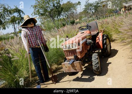 Small farm in Cabo San Lucas, Mexico Stock Photo - Alamy