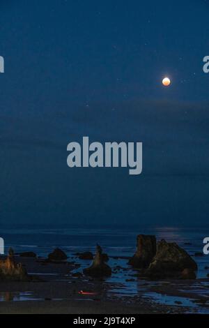 USA, Oregon, Bandon Beach. Lunar eclipse at night Stock Photo - Alamy