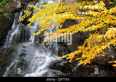 Warren Falls, Mad River, Vermont Stock Photo - Alamy