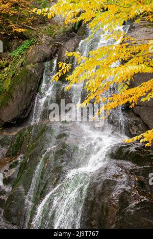 WARREN, VERMONT, USA - Autumn foliage in Mad River Valley, Green ...