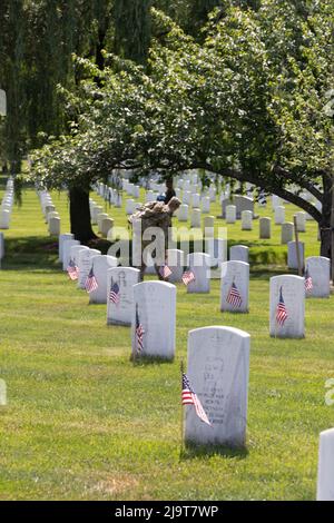 Flags-In at Arlington National Cemetery Stock Photo - Alamy
