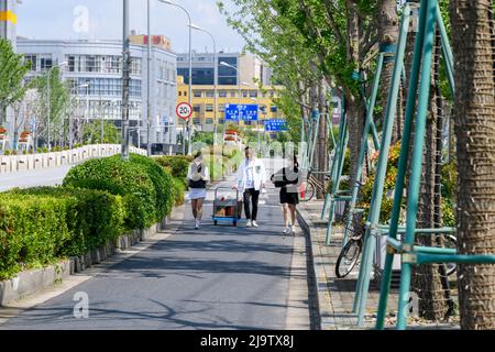 As Shanghai slowly lifts the lockdowns, residents are able to go out ...